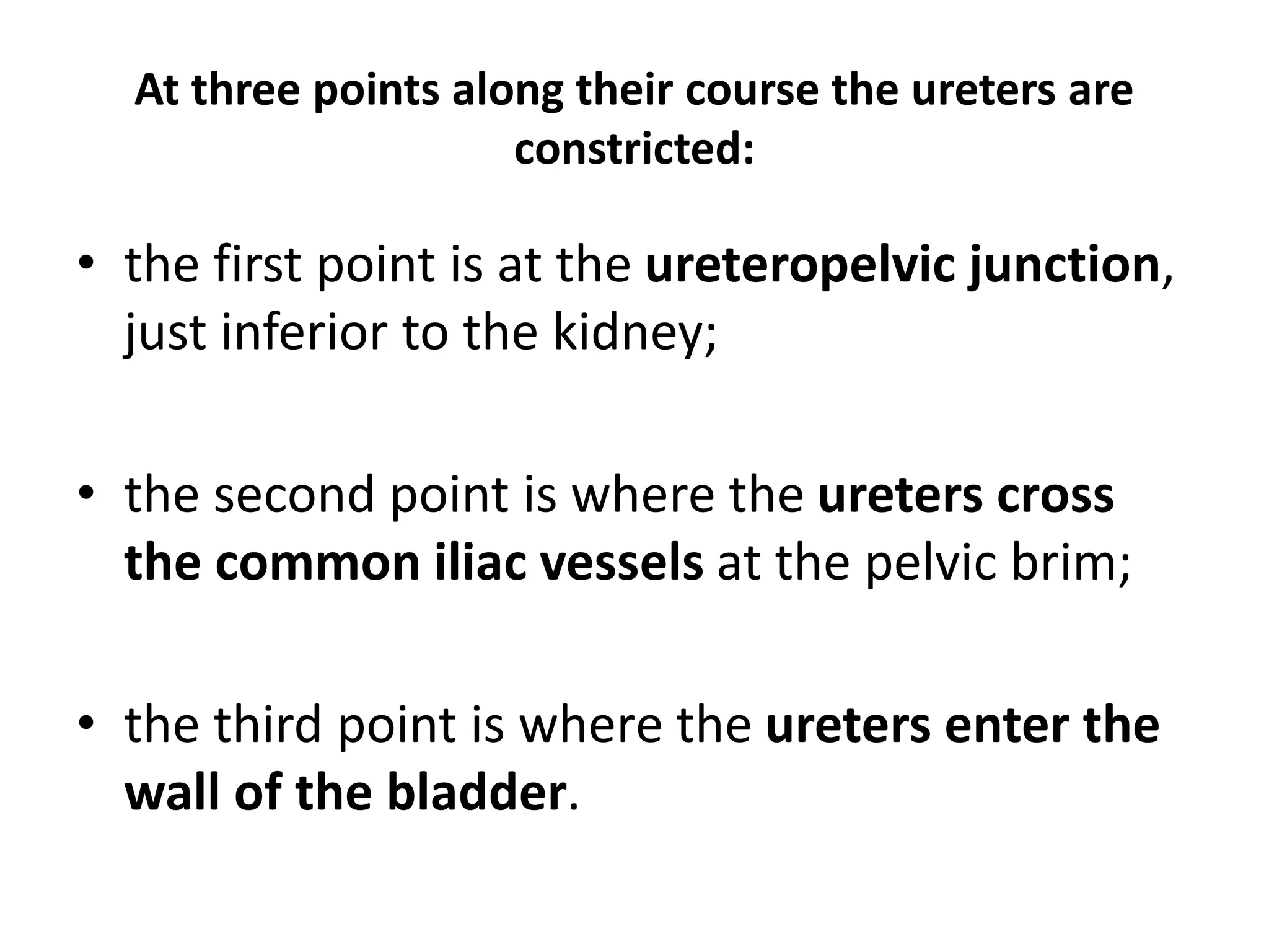Anatomy-Urinary-System-part-I.pptx