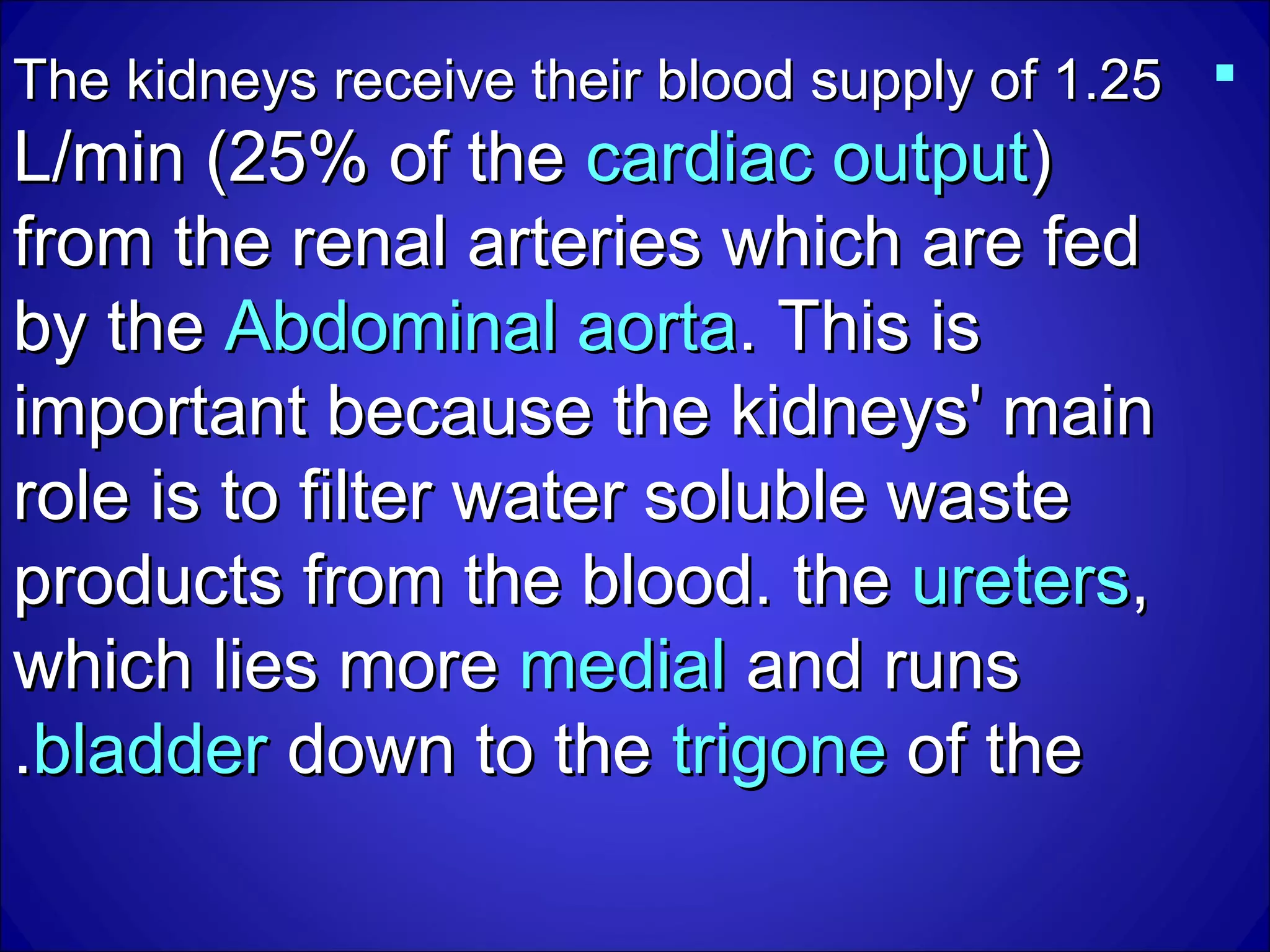 Anatomy urinary tract proplems&stons | PPT