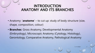 ANATOMY 1.pptx