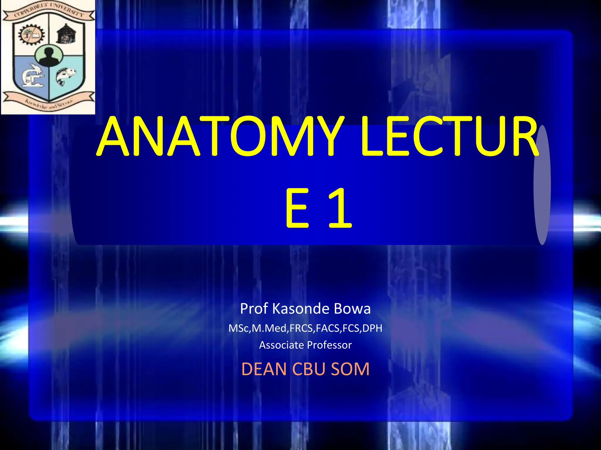 Anatomy 1ppt Introduction To Anatomy Ppt Ppt