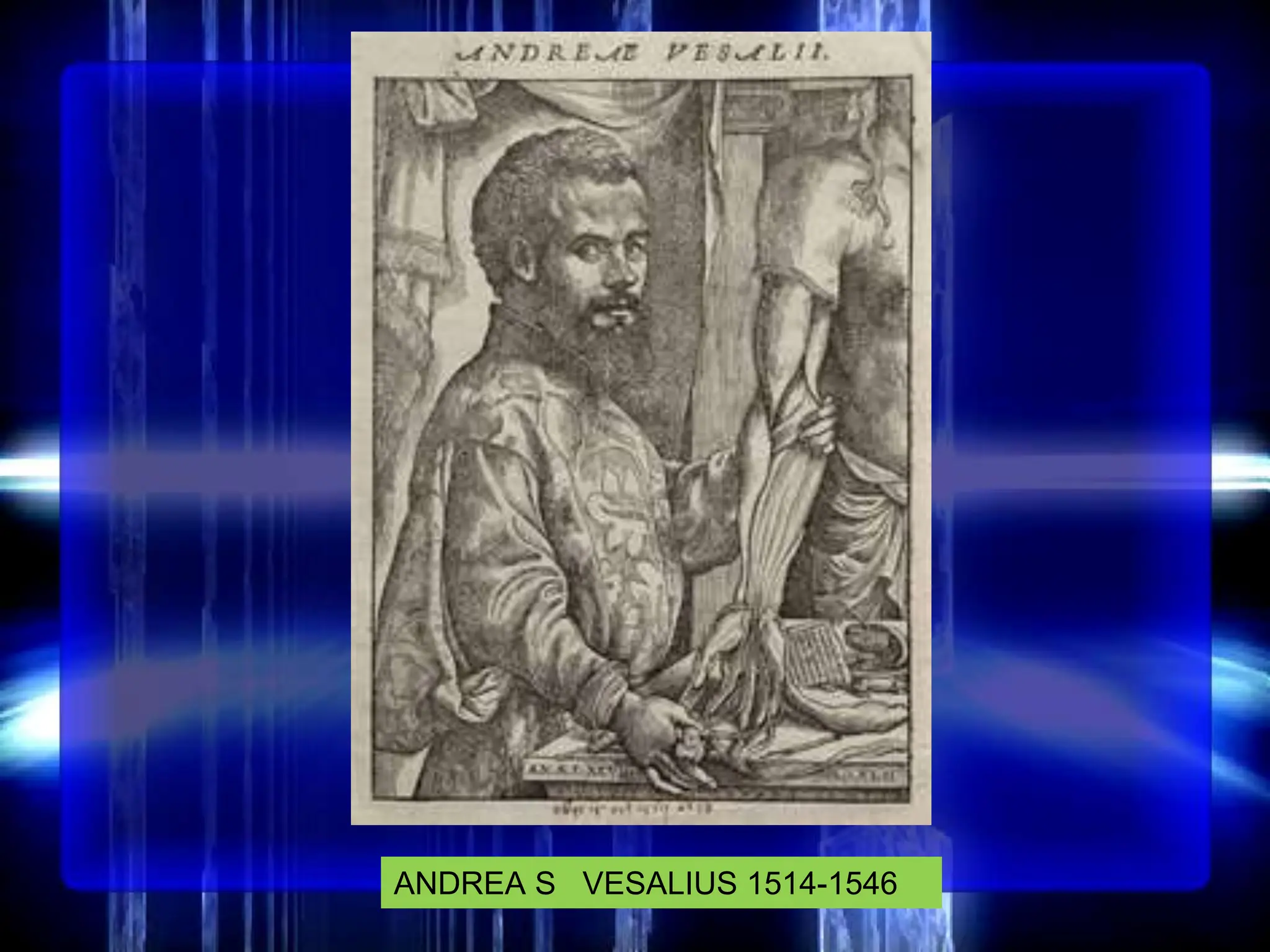 Anatomy 1.ppt introduction to anatomy ppt | PPT