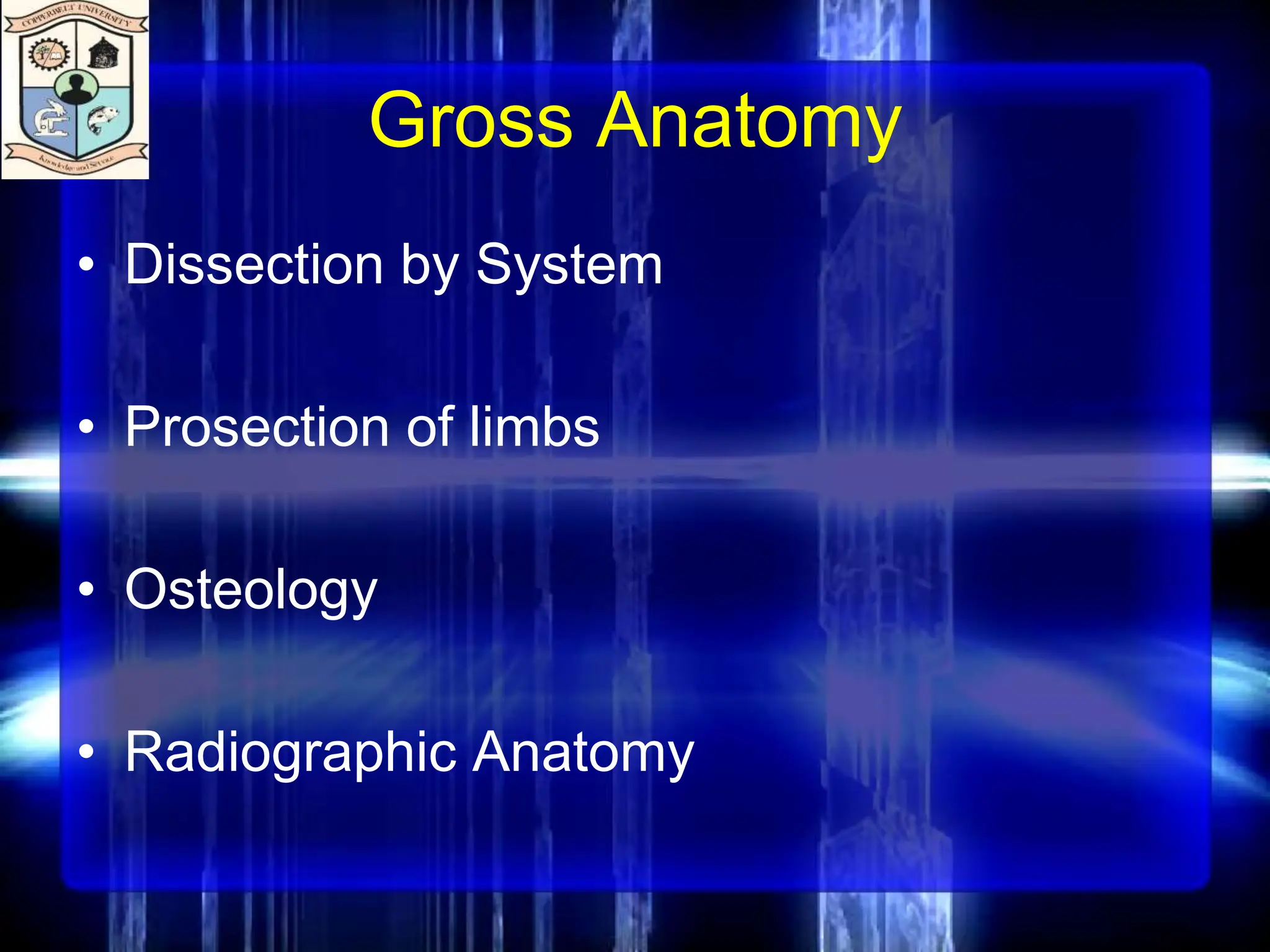 Anatomy 1ppt Introduction To Anatomy Ppt Ppt