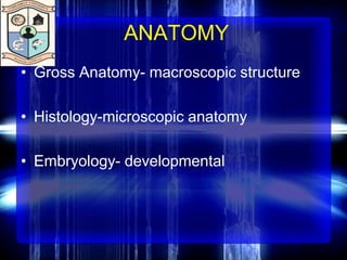 Anatomy 1.ppt introduction to anatomy ppt | PPTX