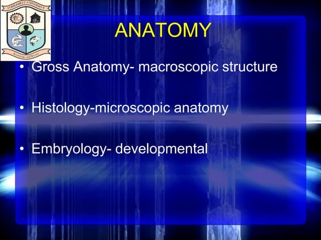 Anatomy 1.ppt introduction to anatomy ppt | PPT