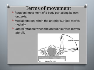 Introduction of anatomy presentation reference book: BD Chaurasia | PPTX
