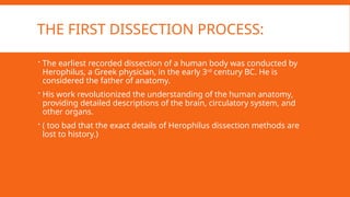 Human Anatomy: Lesson 1 Body parts and functions | PPTX | Biological ...