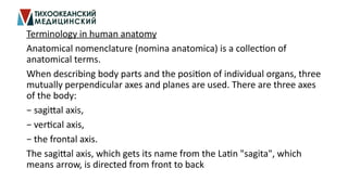 Introduction to human anatomy. Contents and tasks of anatomy | PPTX