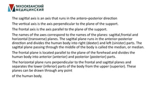 Introduction to human anatomy. Contents and tasks of anatomy | PPTX