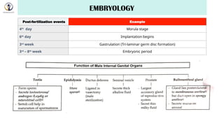 ANATOMY 1 - HISTO+OSTEO+EMBRYO MCQ Based ppt | PPTX