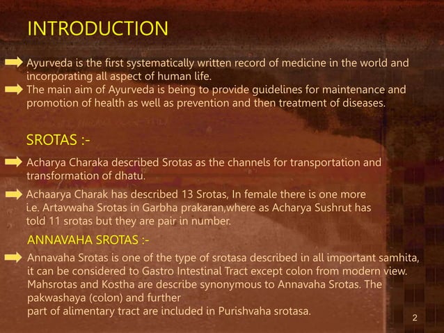 anatomyydydhdydhxhxydyffufufhfhfhfhf_1[1].pptx