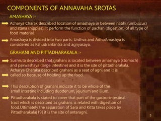 anatomyydydhdydhxhxydyffufufhfhfhfhf_1[1].pptx