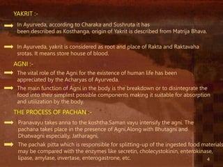 anatomyydydhdydhxhxydyffufufhfhfhfhf_1[1].pptx