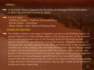 anatomyydydhdydhxhxydyffufufhfhfhfhf_1[1].pptx