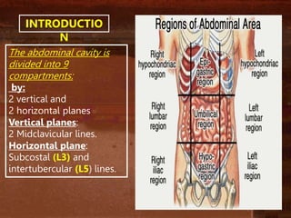 anatomyydydhdydhxhxydyffufufhfhfhfhf_1[1].pptx
