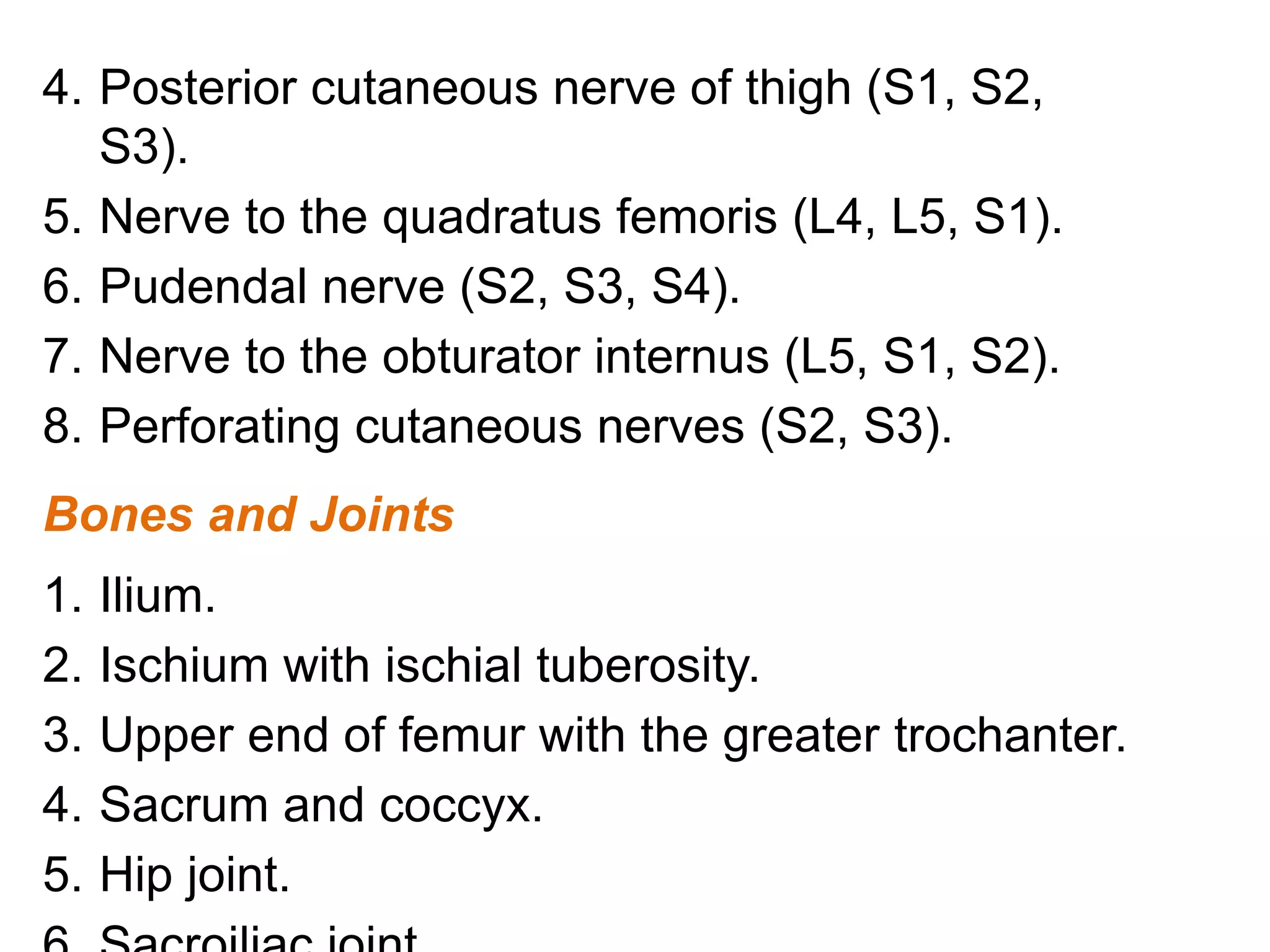 Anatomy12102018.pdf