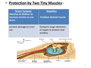 Anatomy 1-The anatomy and physiology of human ear | PPTX