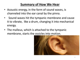 Anatomy 1-The anatomy and physiology of human ear | PPTX