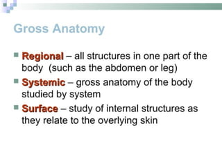 Introduction Of Anatomy Pptx