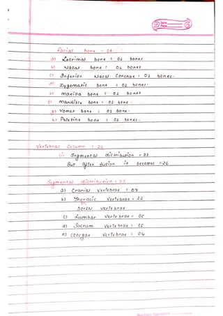 Anatomy 1st year Bsc nursing or diploma.pdf