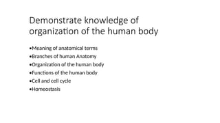 HUMAN ANATOMY AND PHYSIOLOGY POWER POINT PRESENTATION | PPTX
