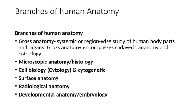 HUMAN ANATOMY AND PHYSIOLOGY POWER POINT PRESENTATION | PPTX