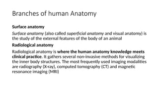 HUMAN ANATOMY AND PHYSIOLOGY POWER POINT PRESENTATION | PPTX