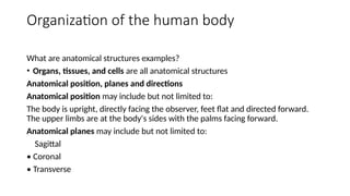 HUMAN ANATOMY AND PHYSIOLOGY POWER POINT PRESENTATION | PPTX