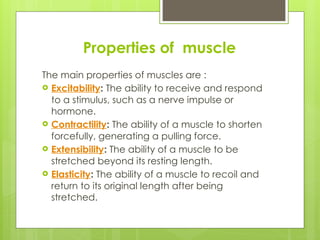 Anatomy 2 - types of muscles ad contraction | PPTX