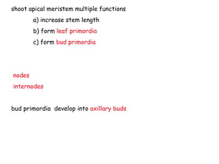 Anatomy 2 notes | PPT