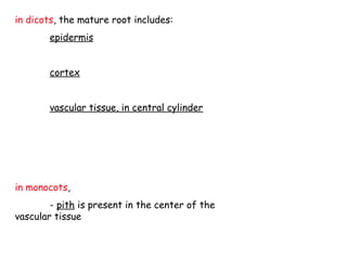 Anatomy 2 notes | PPT