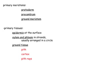 Anatomy 2 notes | PPT