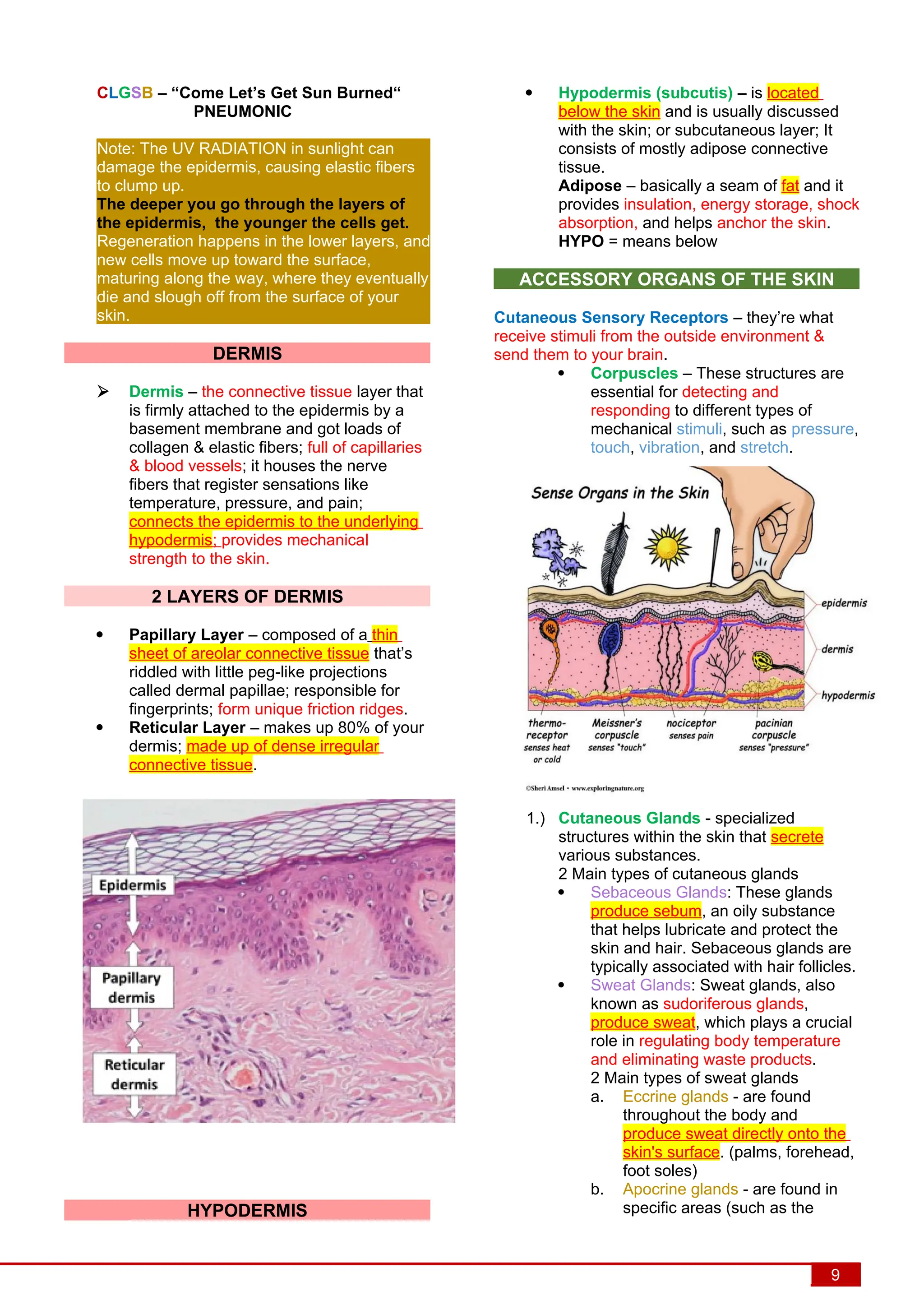 ANATOMY%20AND%20PHYSIOLOGY%20LECTURE-PRELIM.docx