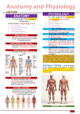 ANATOMY%20AND%20PHYSIOLOGY%20LECTURE-PRELIM.docx