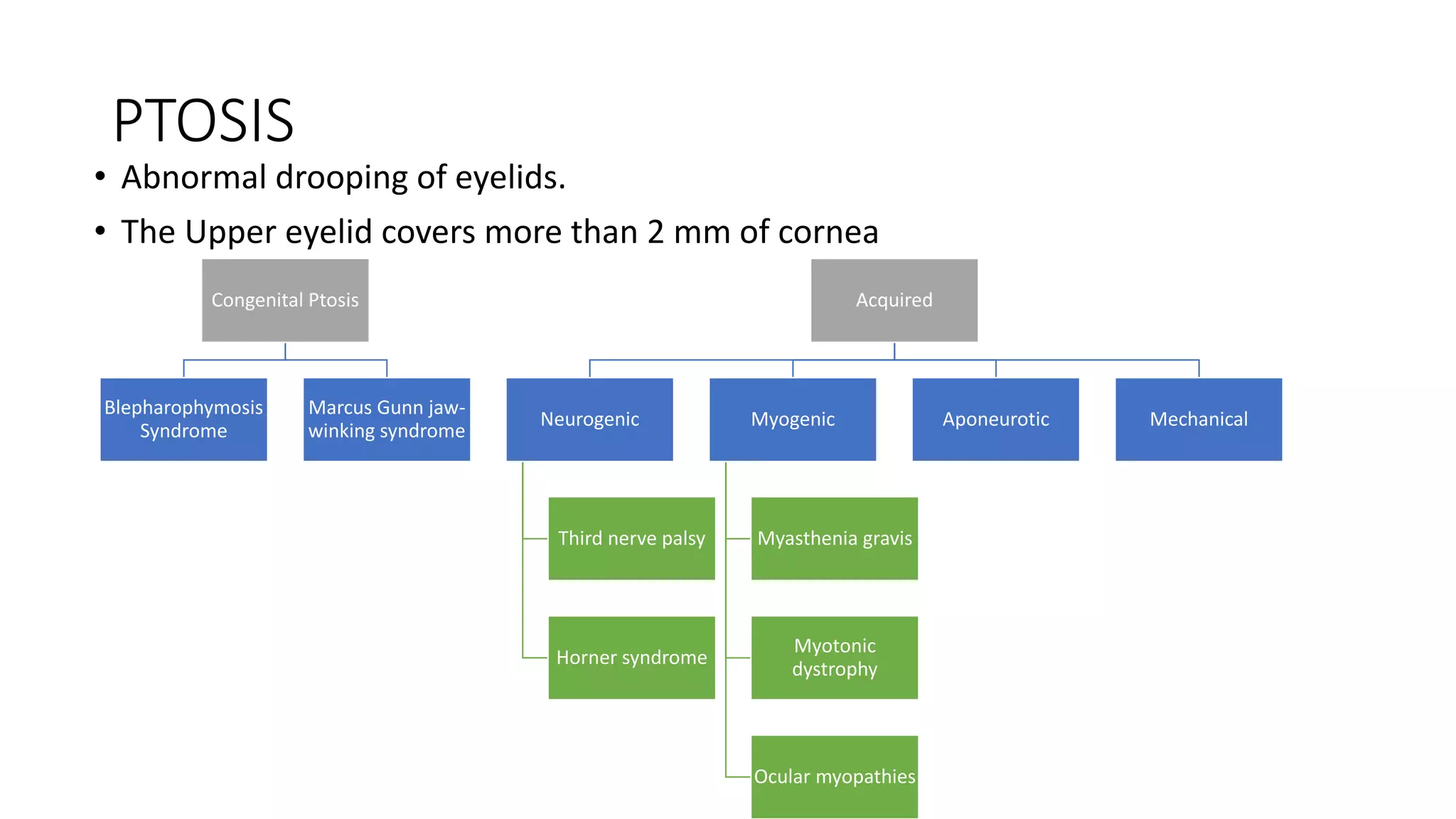 Anatomy Of Eyelid And Ptosis | PPTX