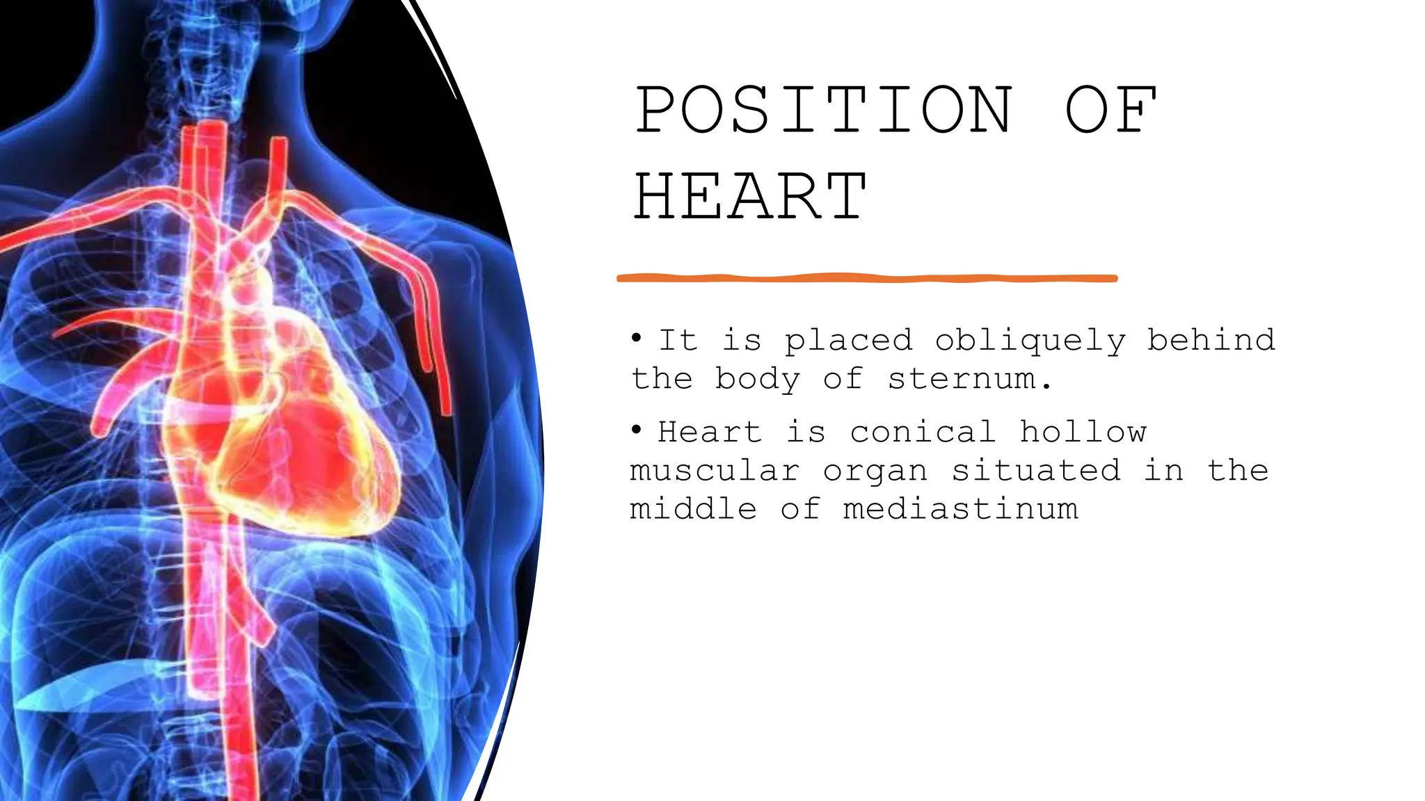 ANATOMY OF HEART - CARDIOVASCULAR SYSTEM | PPTX