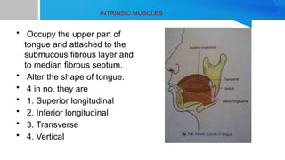 ANATOMY Of TONGUE for dental students pdf | PPTX