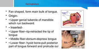 ANATOMY Of TONGUE for dental students pdf | PPTX