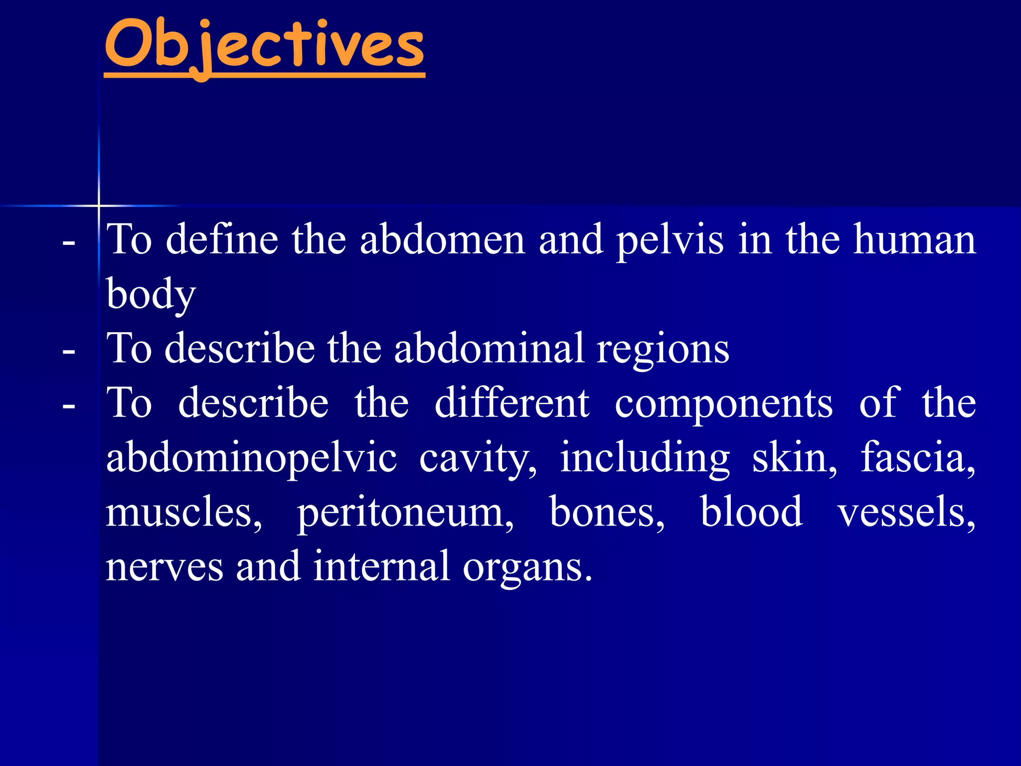 Anatomy 210 abdomen & pelvis for semester ii year 2012-2013 | PPTX