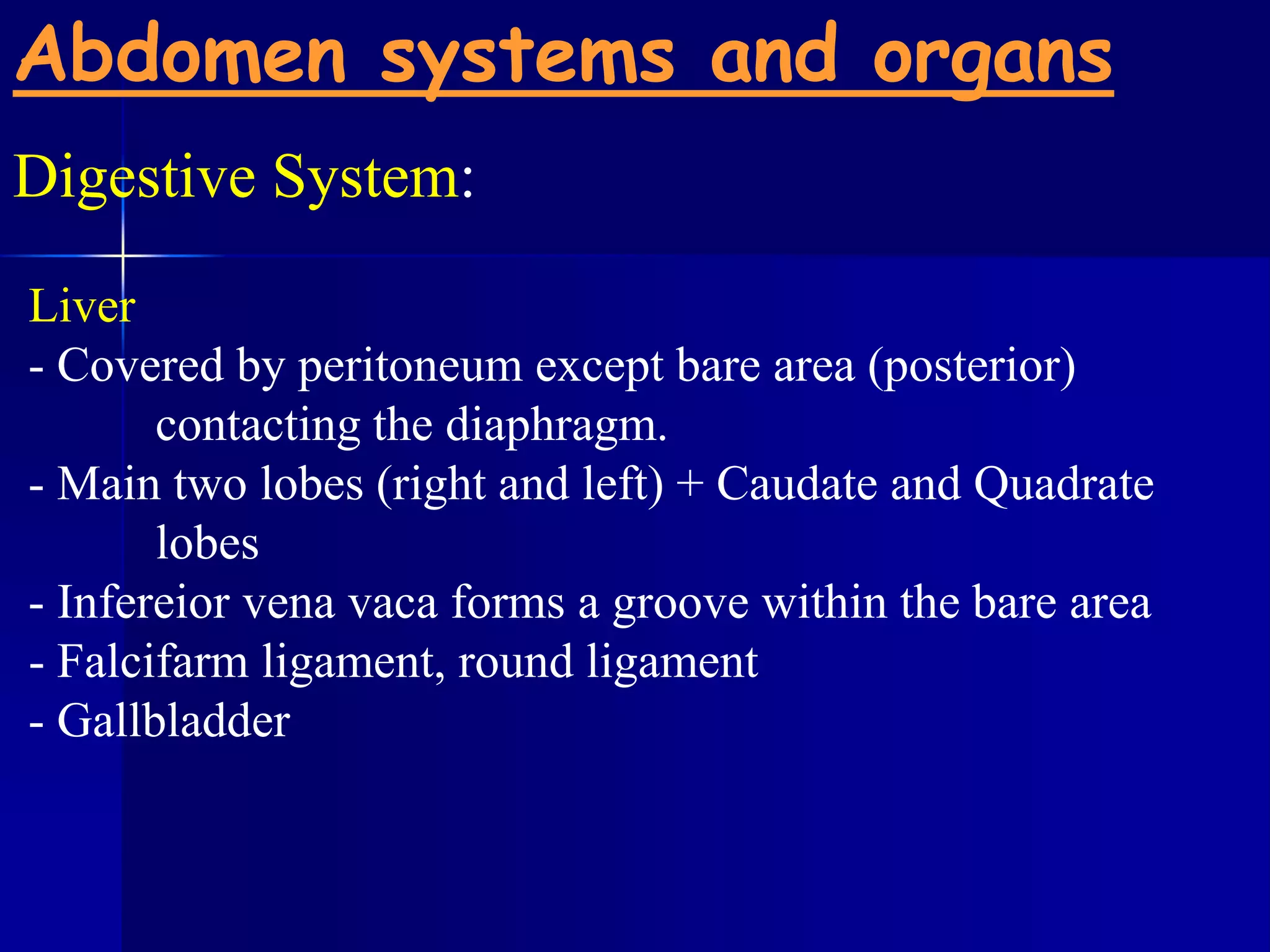 Anatomy 210 abdomen & pelvis for semester ii year 2012-2013 | PPTX