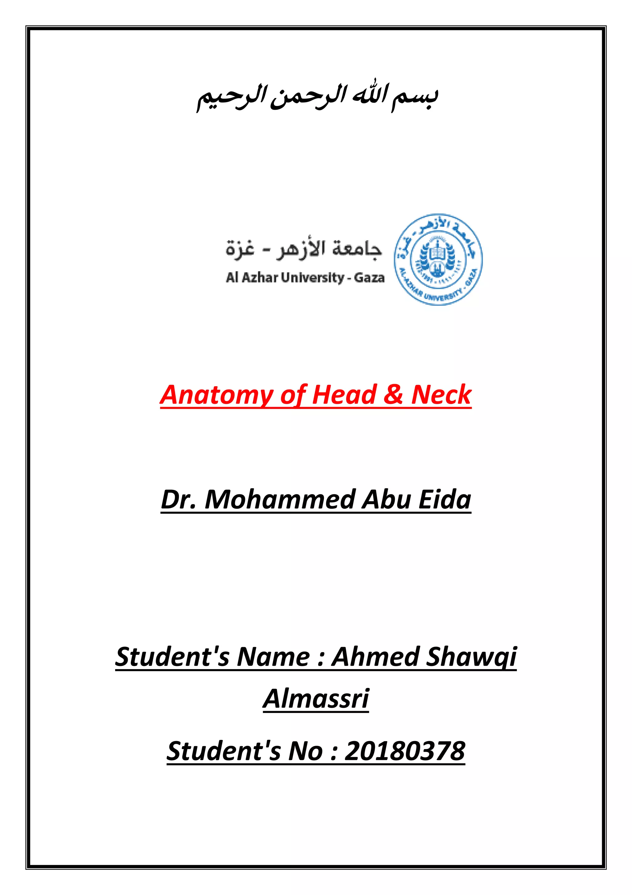 Maxillary Nerve & Artry | PDF