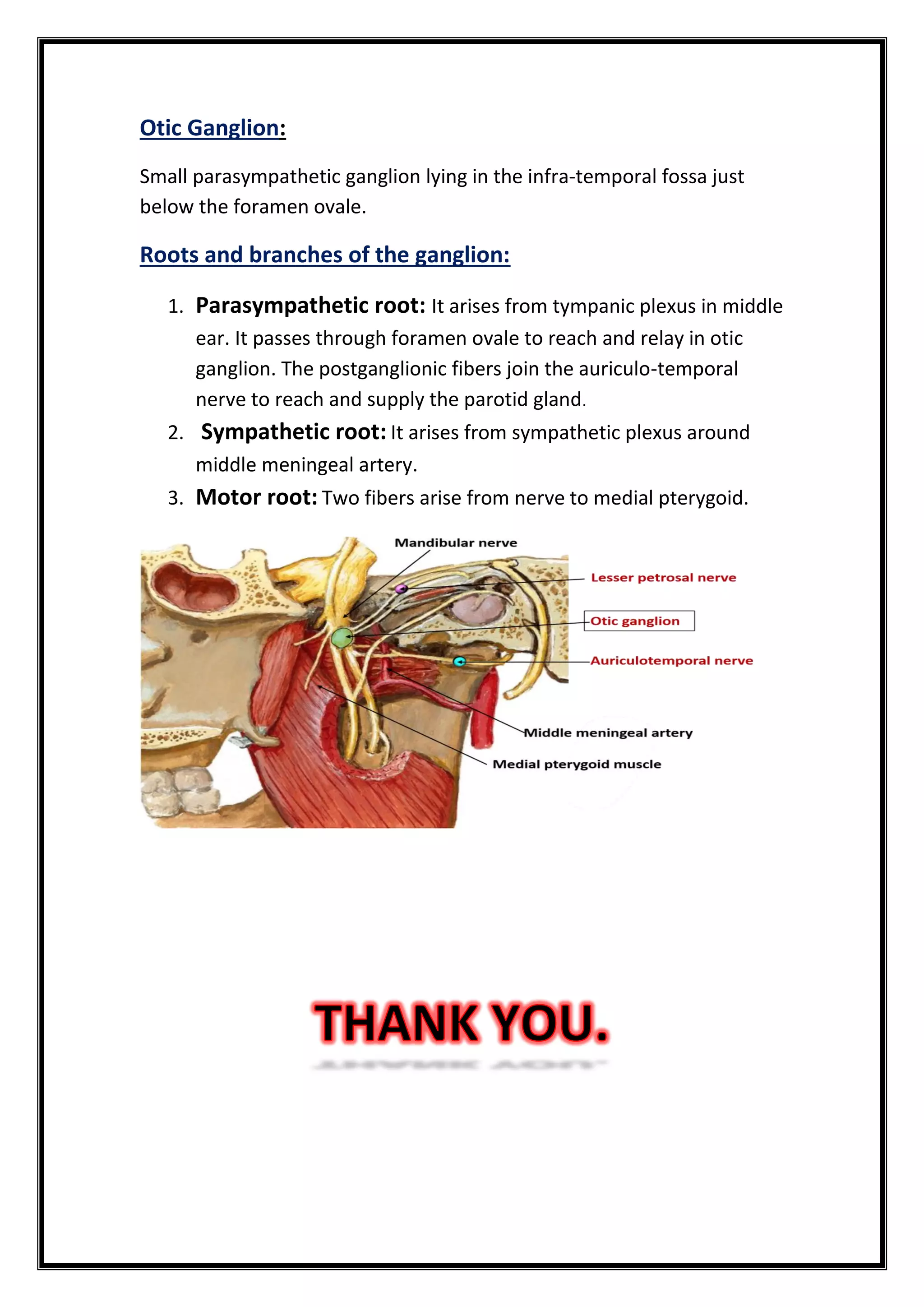 Maxillary Nerve & Artry | PDF
