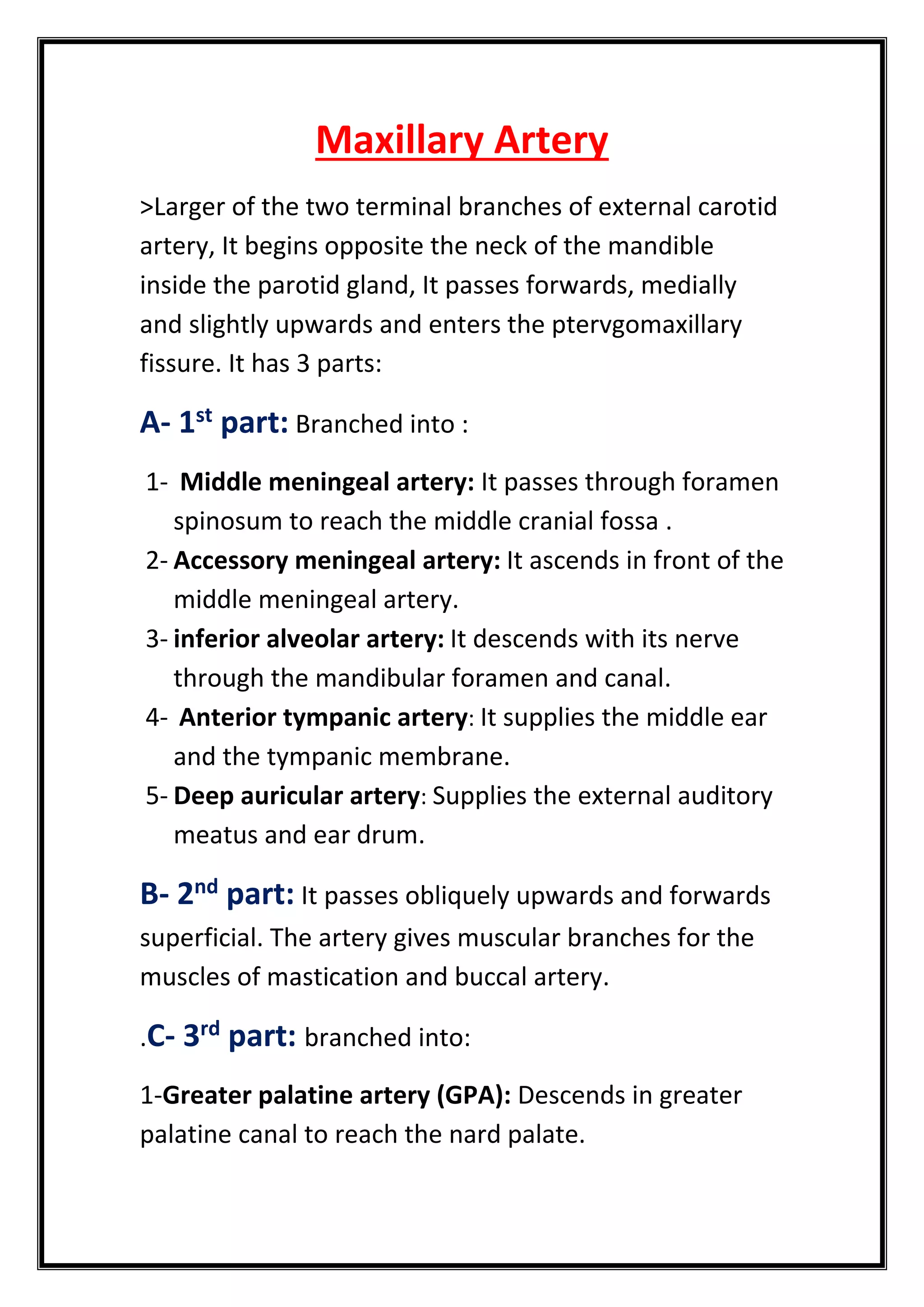 Maxillary Nerve & Artry | PDF