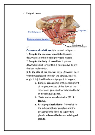 Maxillary Nerve & Artry | PDF