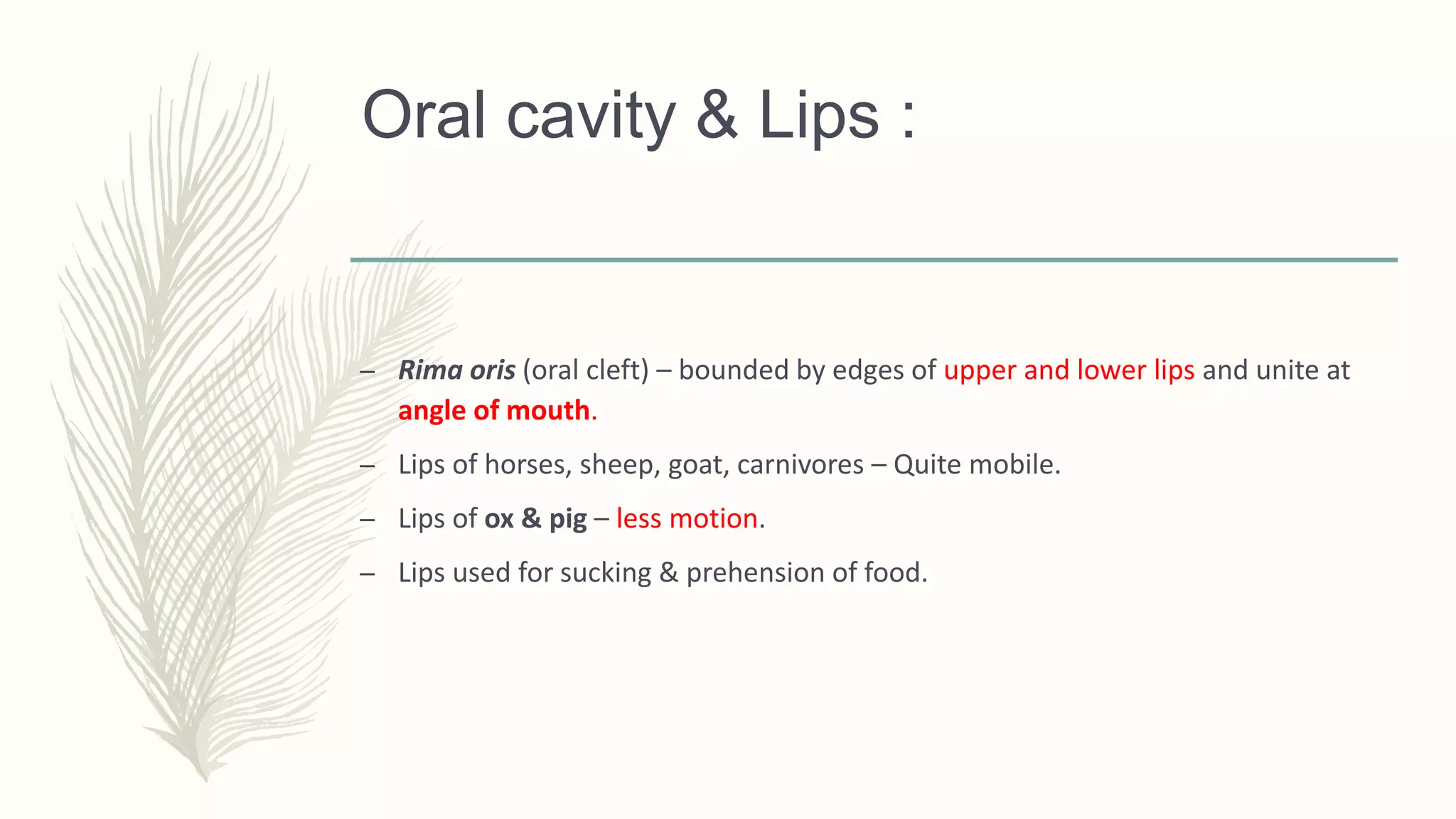 Anatomy of oral cavity in animals | pharynx | salivary glands | PPTX