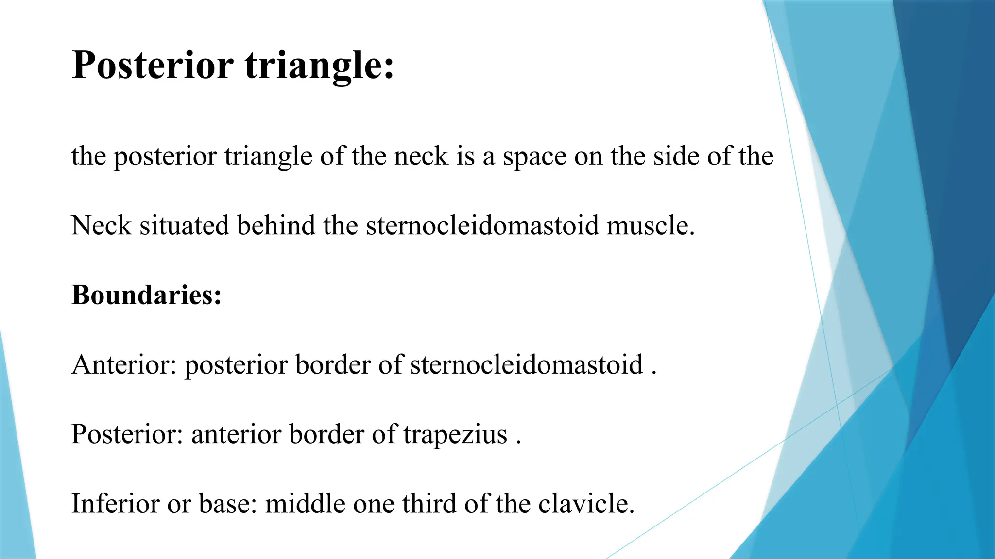 triangle of the neck...posterior triangles of the neck | PPTX