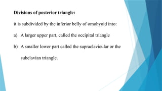 triangle of the neck...posterior triangles of the neck | PPTX
