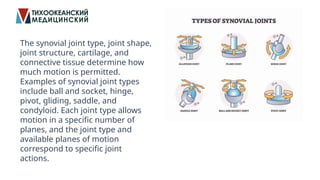 anatomy 4 lecture sindesmology, arthrogy.pptx