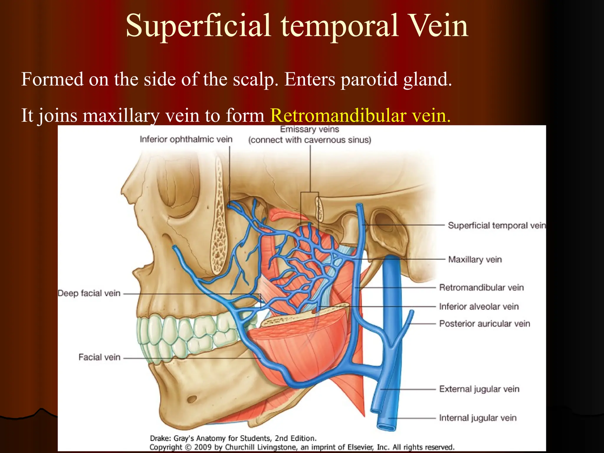 Anatomy of the head and neck ( blood supply and lymphatic drainage) | PPTX