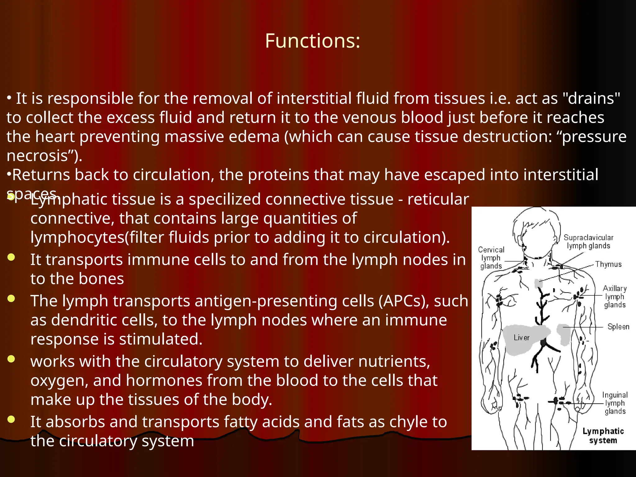 Anatomy of the head and neck ( blood supply and lymphatic drainage) | PPTX