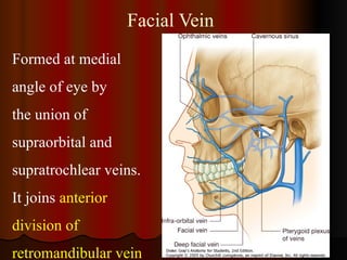 Anatomy of the head and neck ( blood supply and lymphatic drainage) | PPTX
